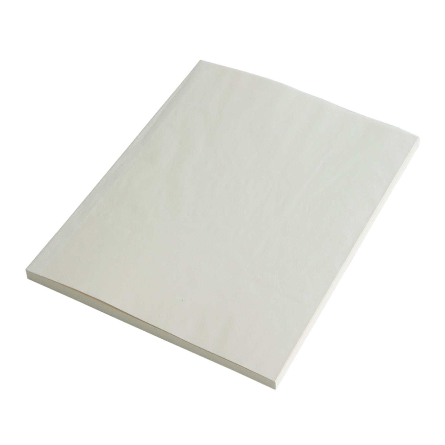 Midori MD Paper Ivory Plain Notebook - A4|Buy Online at Makoba| Midori