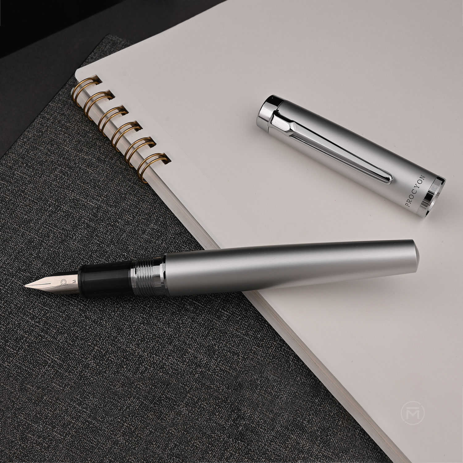 Platinum Procyon Luster Satin Silver Fountain Pen |Buy Online|Platinum ...